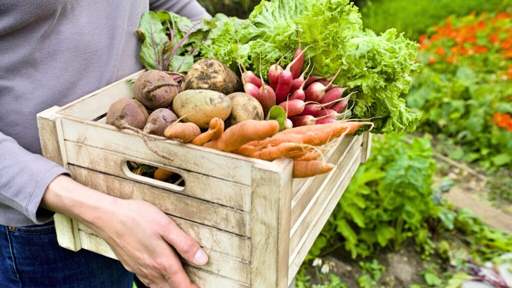 10 Survival Garden Crops to Plant in March