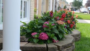 Foundation Plants: 13 Perfect Plants to Frame Your Home