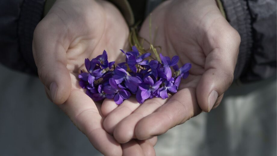8 Wonderful Reasons to Welcome the Wild Violets in Your Lawn