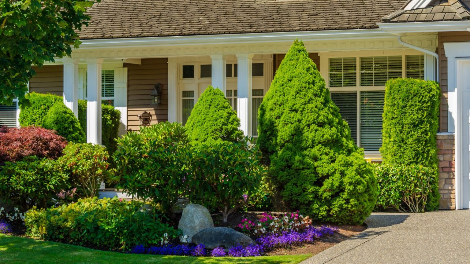 Foundation Plants: 13 Perfect Plants to Frame Your Home