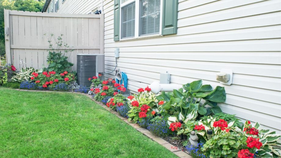Foundation Plants: 13 Perfect Plants to Frame Your Home