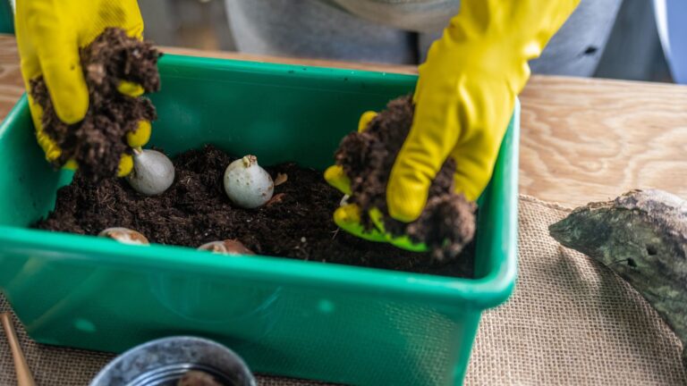 How to Layer Bulbs in Containers: Plan Spring Displays Now