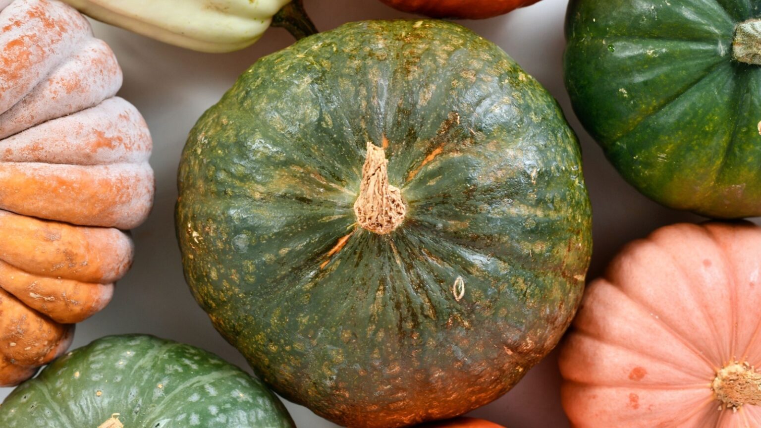 11 Tastiest Squash Varieties for the Thanksgiving Table
