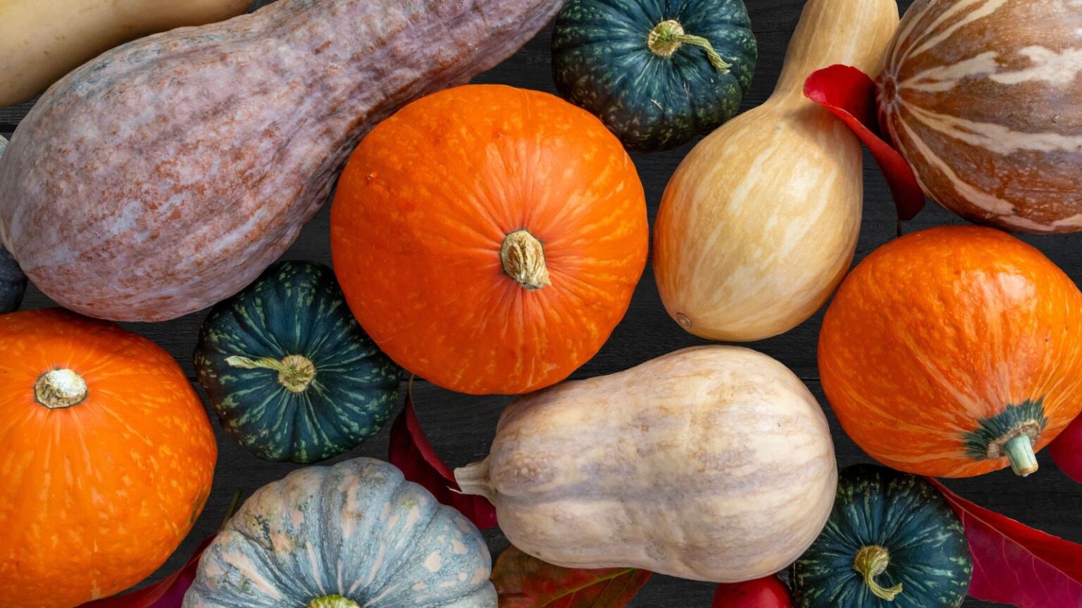 11 Tastiest Squash Varieties for the Thanksgiving Table